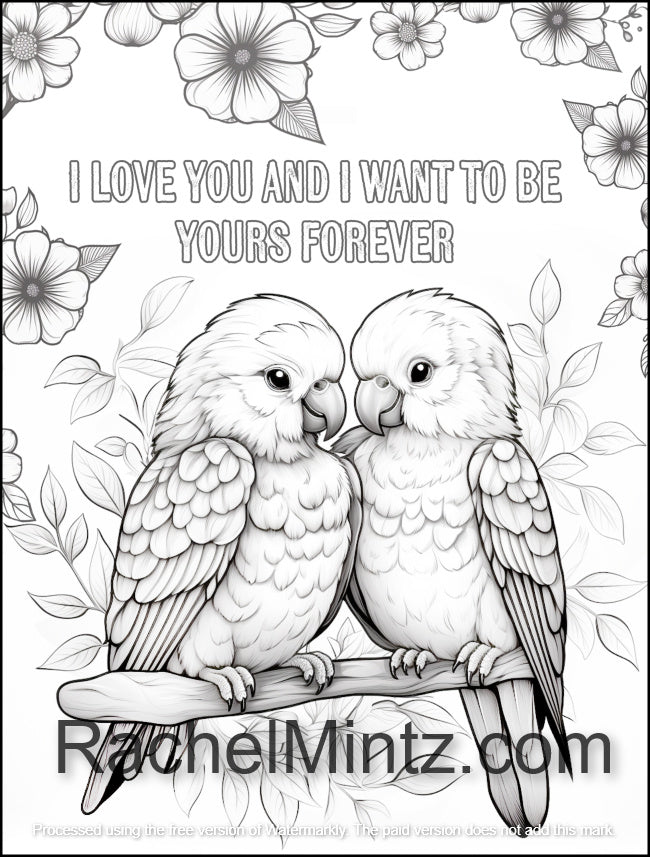 Love Birds, Valentine’s Day Coloring Book, Whimsical Birds & Romantic ...