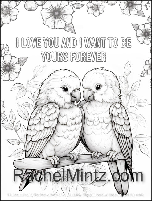 Love Birds, Valentine’s Day Coloring Book, Whimsical Birds & Romantic ...
