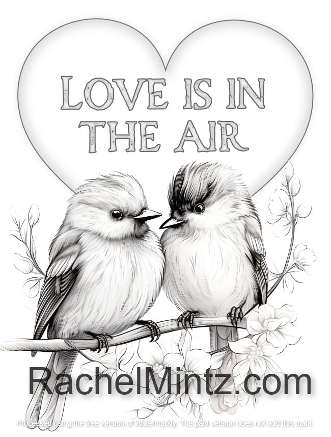 Love Birds, Valentine’s Day Coloring Book, Whimsical Birds & Romantic ...