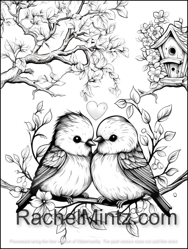 Love Birds, Valentine’s Day Coloring Book, Whimsical Birds & Romantic ...