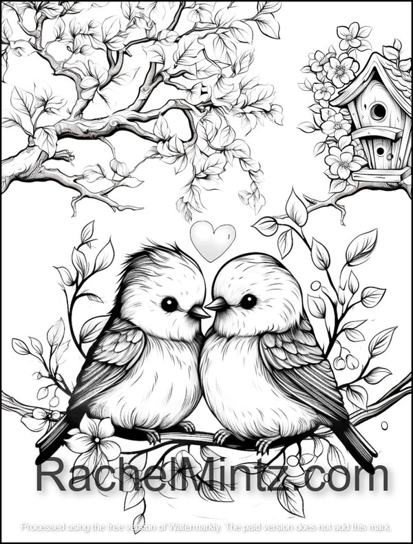 Love Birds, Valentine’s Day Coloring Book, Whimsical Birds & Romantic ...