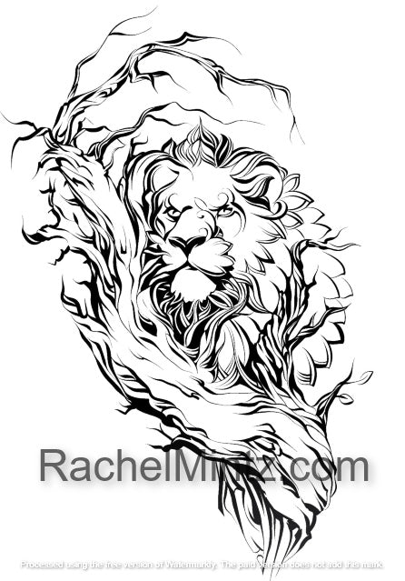 Woodland Wonders - Fantasy Art Coloring Book, Beautiful Women and Wild ...