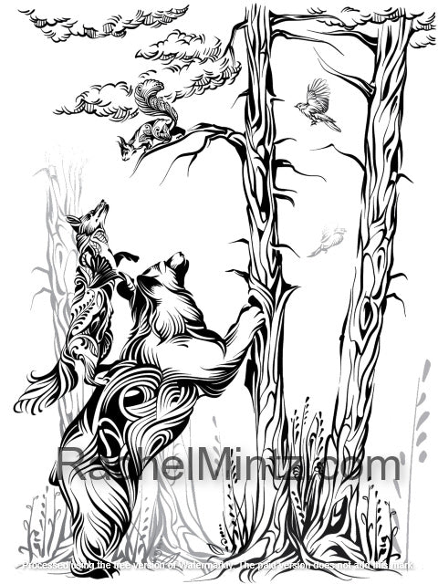 Woodland Wonders - Fantasy Art Coloring Book, Beautiful Women and Wild ...