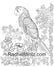 Colorful Parrots - Tropical Birds PDF Coloring Book For Adults – Rachel ...
