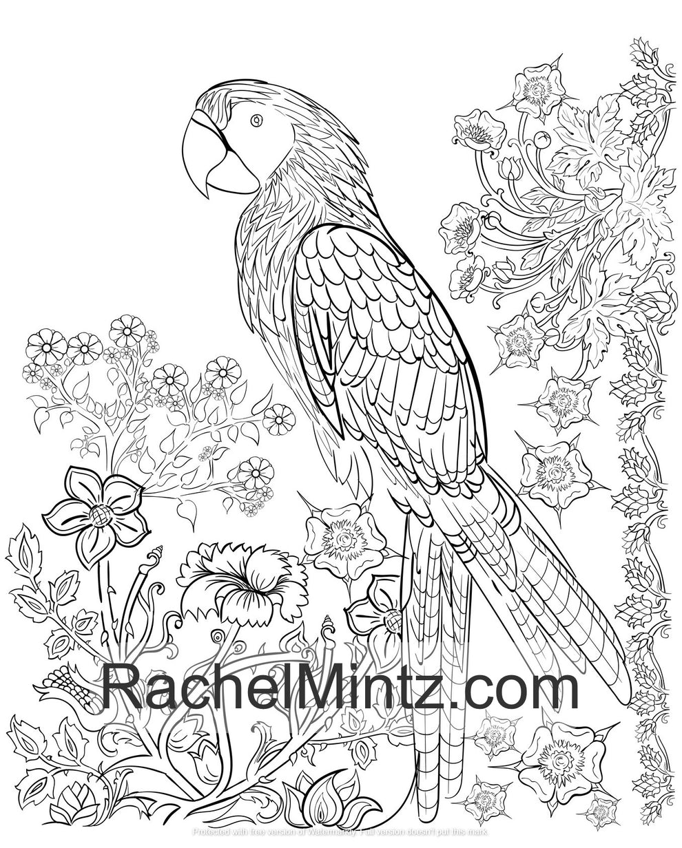 Colorful Parrots - Tropical Birds PDF Coloring Book For Adults – Rachel ...