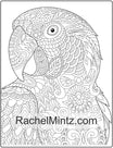 Colorful Parrots - Tropical Birds PDF Coloring Book For Adults – Rachel ...