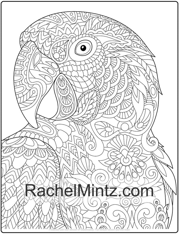 Colorful Parrots - Tropical Birds PDF Coloring Book For Adults – Rachel ...