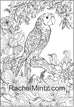 Colorful Parrots - Tropical Birds PDF Coloring Book For Adults – Rachel ...