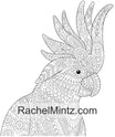 Colorful Parrots - Tropical Birds PDF Coloring Book For Adults – Rachel ...