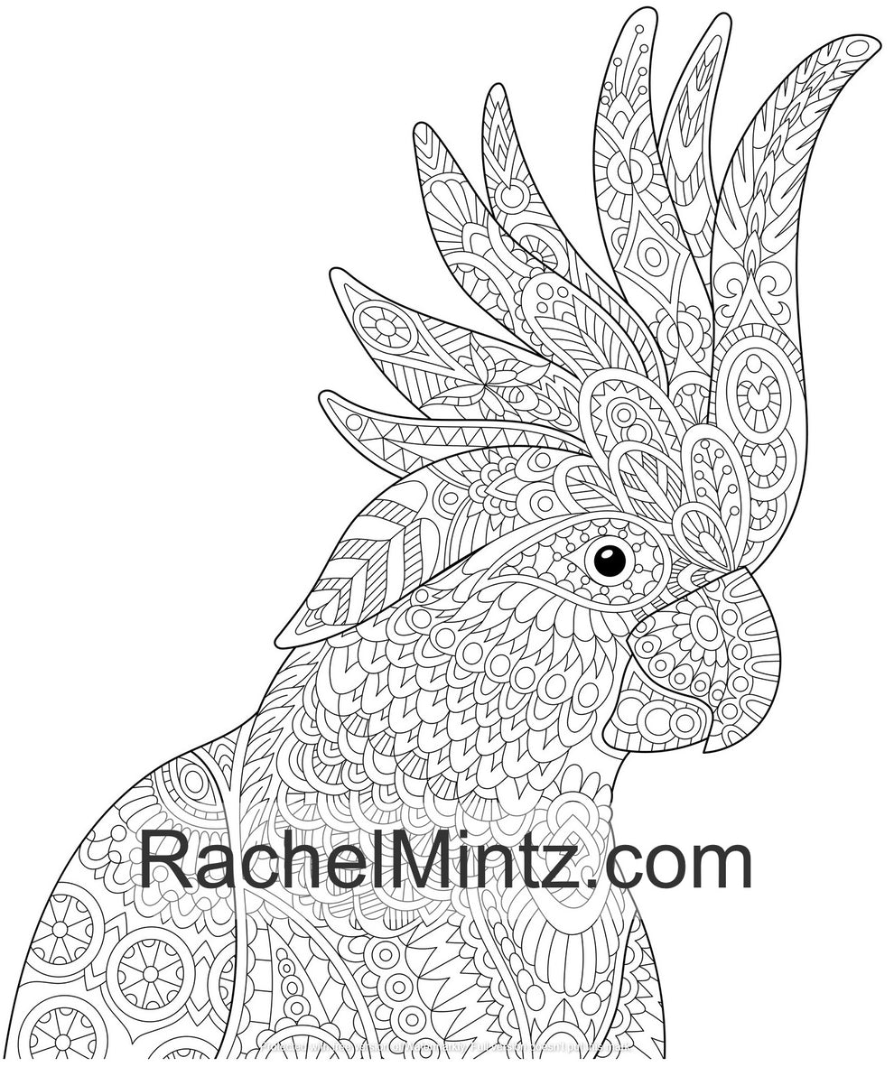 Colorful Parrots - Tropical Birds PDF Coloring Book For Adults – Rachel ...