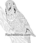 Colorful Parrots - Tropical Birds PDF Coloring Book For Adults – Rachel ...