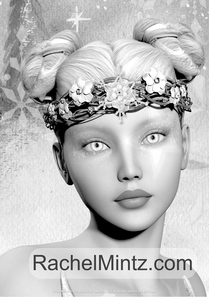 Gorgeous Fairies - 40 Fantasy Fairy Portraits in Grayscale Art, Printa ...