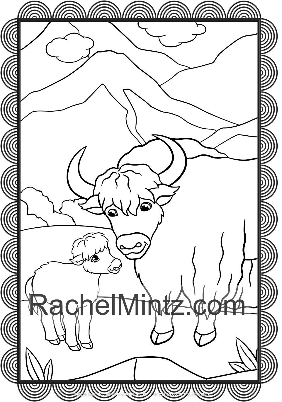 Large Print Animals Postcards - Easy, Bold Lines, Clear Spaces For Vis ...