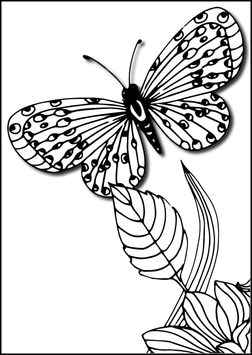 Large Print Butterflies - Beautiful Clear Bold Butterfly Lines and Pat ...