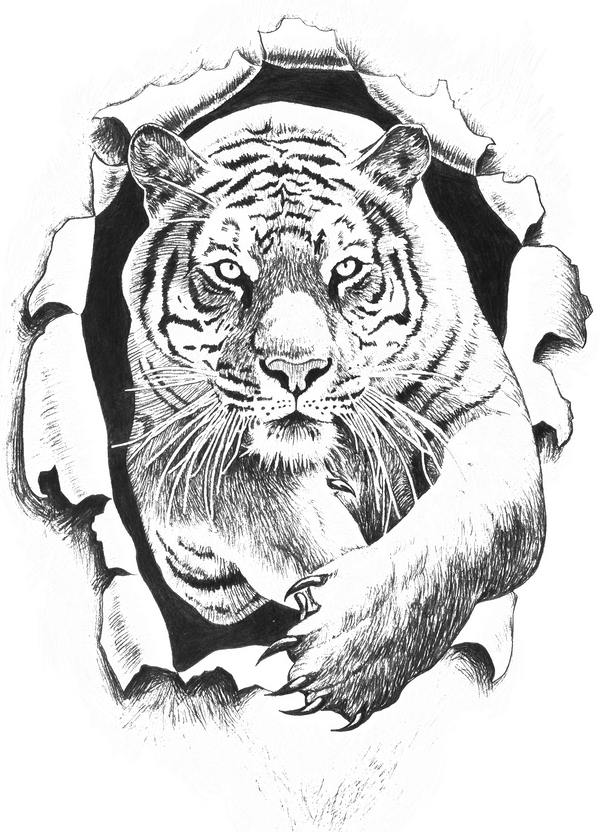 Mighty Tigers Coloring (PDF Book) With 30 Pages of Leaping, Roaring Ti ...