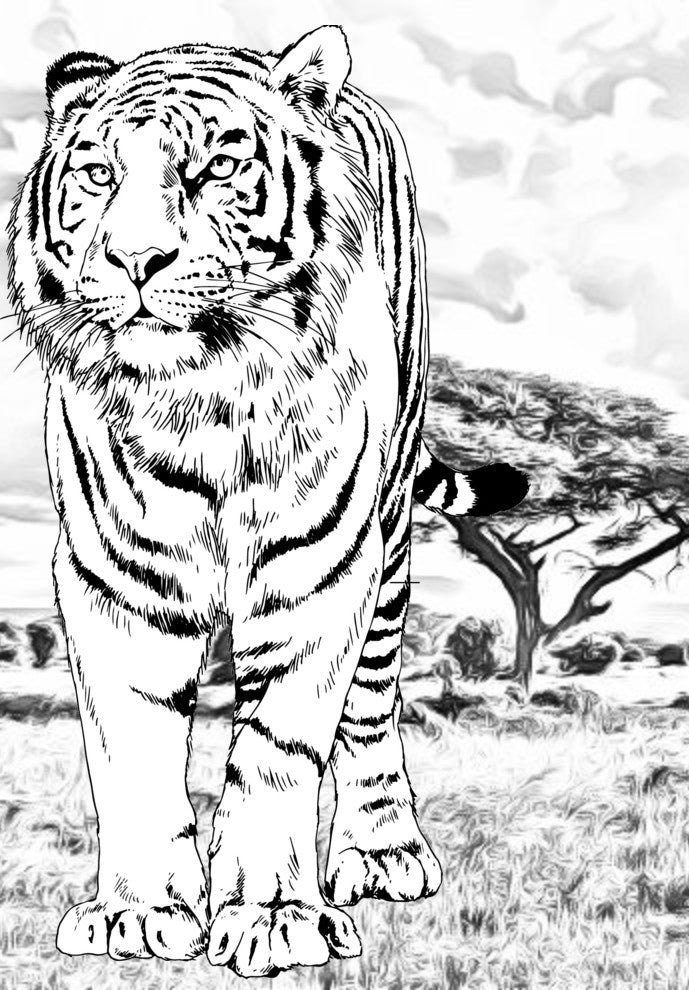 Mighty Tigers Coloring (PDF Book) With 30 Pages of Leaping, Roaring Ti ...