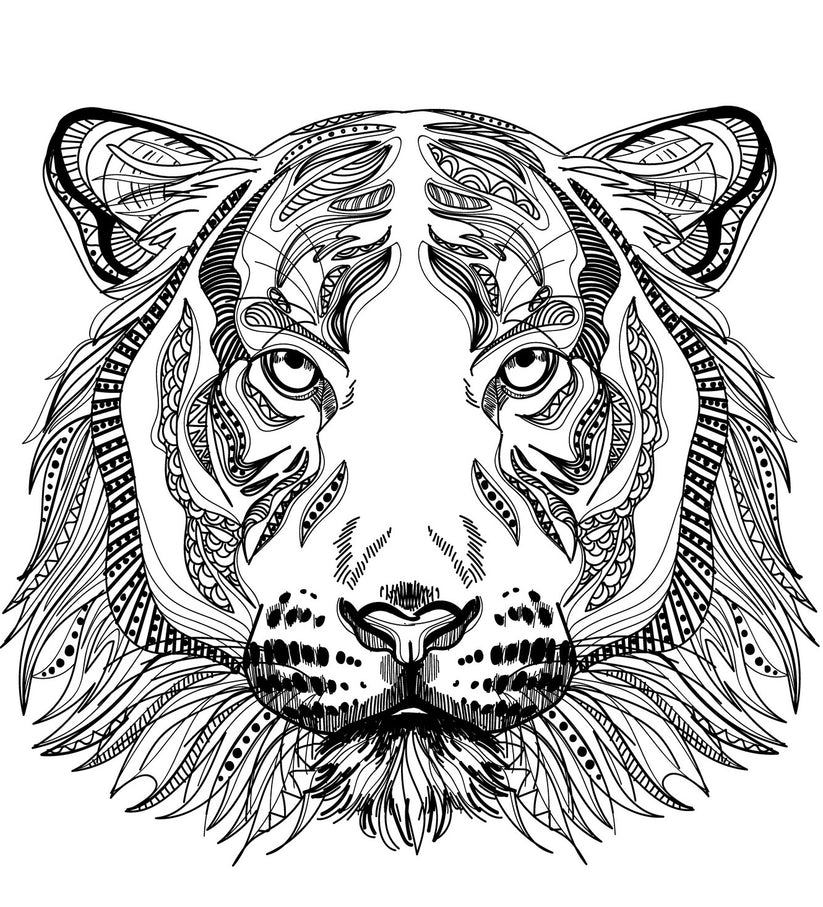 Mighty Tigers Coloring (PDF Book) With 30 Pages of Leaping, Roaring Ti ...