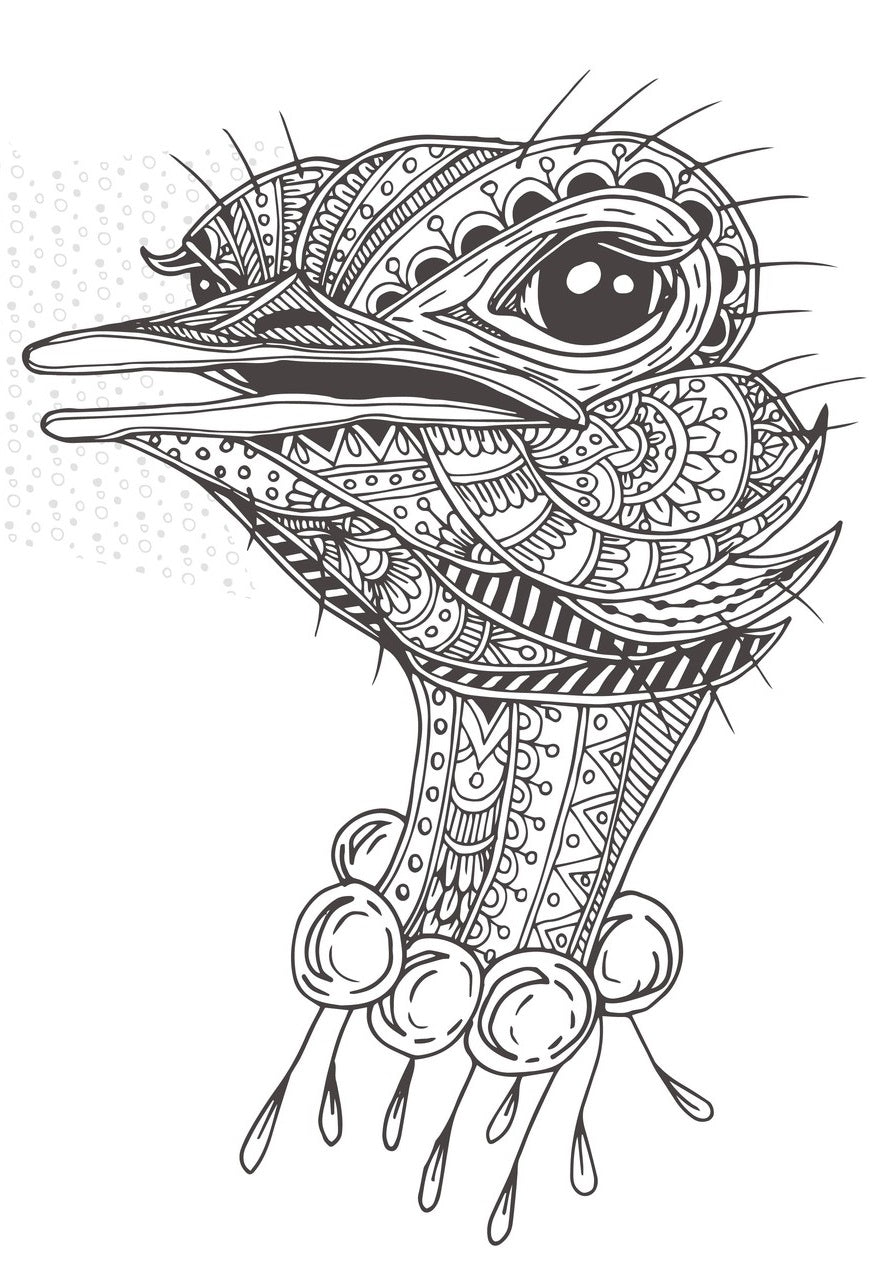 Ostrich Coloring Book - Sweet Ostriches in Doodle Patterns (PDF Book ...