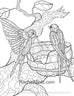 Paradise Birds - Adults Coloring Book, Hummingbirds, Tropical Birds, A ...