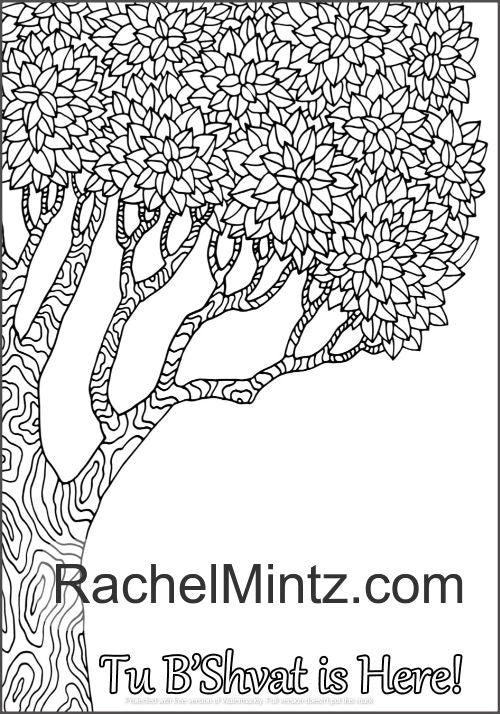 Tu B'shevat - Coloring Book For Adults - Jewish 'New Year for the Tree ...