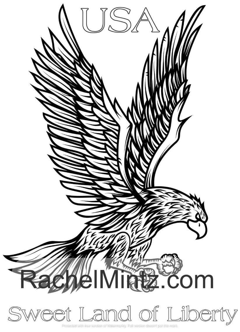 USA Patriotic Adults Coloring Book - Freedom Icons For 4th of July (Di ...