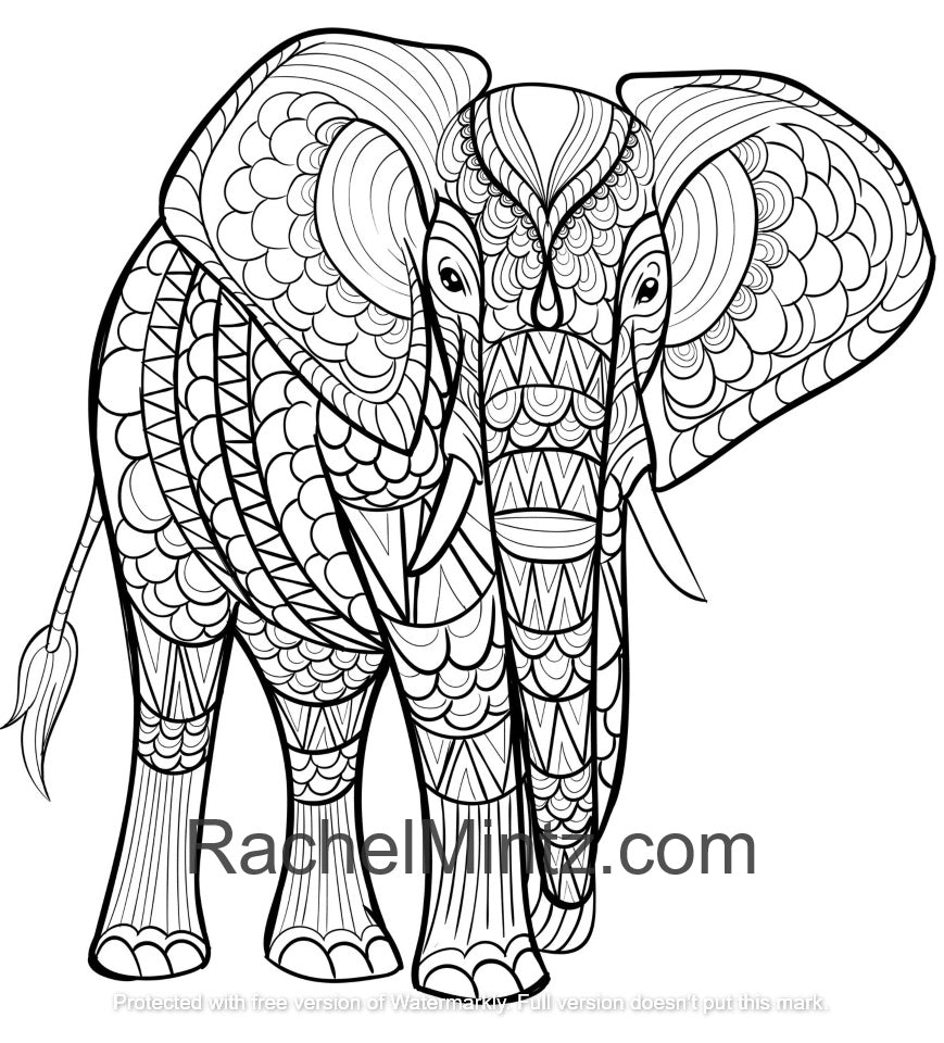 Wild Africa - African Safari Animals Coloring (PDF Book - 40 Pages ...