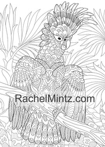 ZEN Wildlife Animals – Relaxing Coloring Book With Detailed Zentangle ...