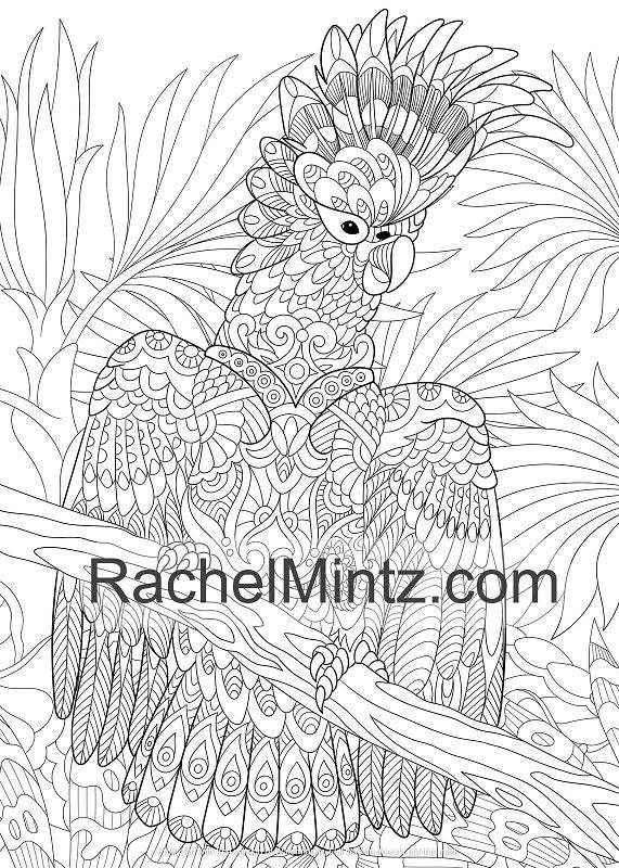 ZEN Wildlife Animals – Relaxing Coloring Book With Detailed Zentangle ...