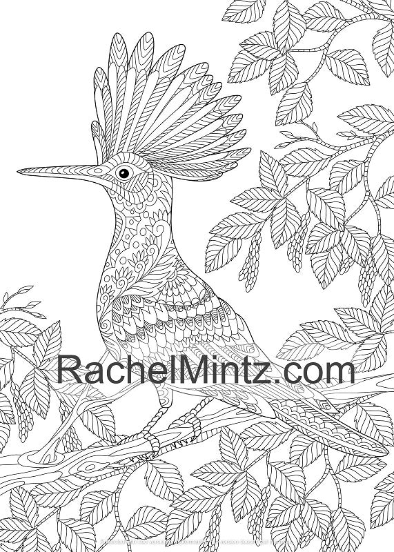 ZEN Wildlife Animals – Relaxing Coloring Book With Detailed Zentangle ...