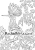 ZEN Wildlife Animals – Relaxing Coloring Book With Detailed Zentangle ...