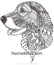 Mandala Dogs Coloring (PDF Book) - Relaxing Cute Ornamental Dog Breeds ...