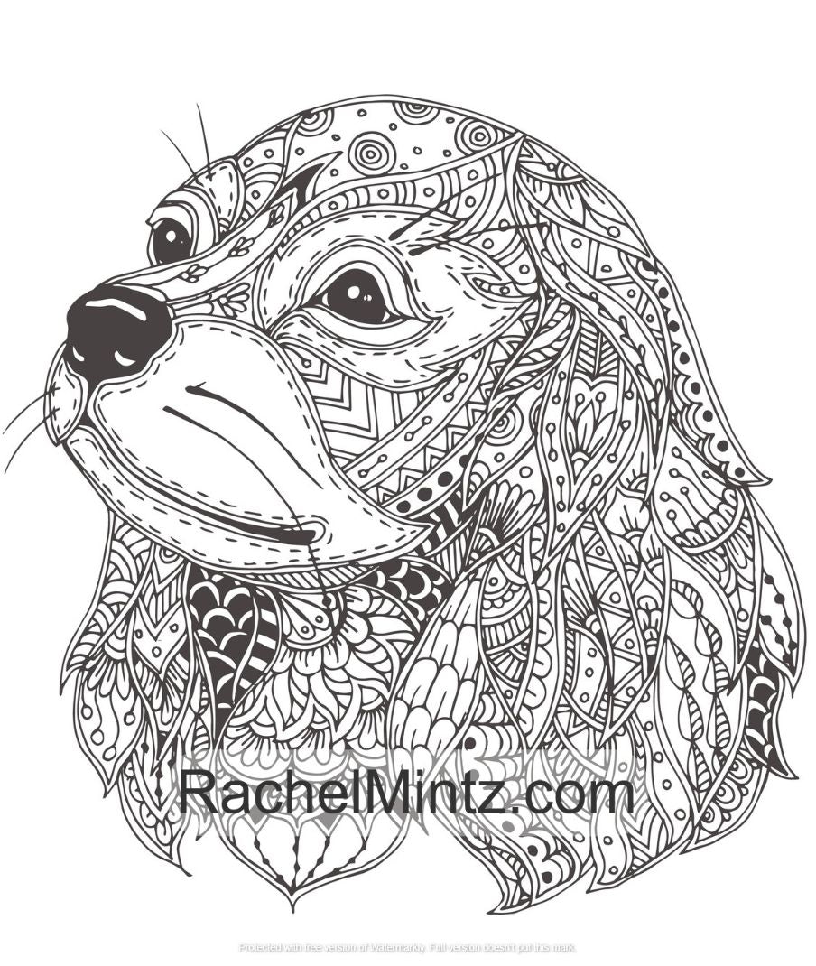 Mandala Dogs Coloring (PDF Book) - Relaxing Cute Ornamental Dog Breeds ...
